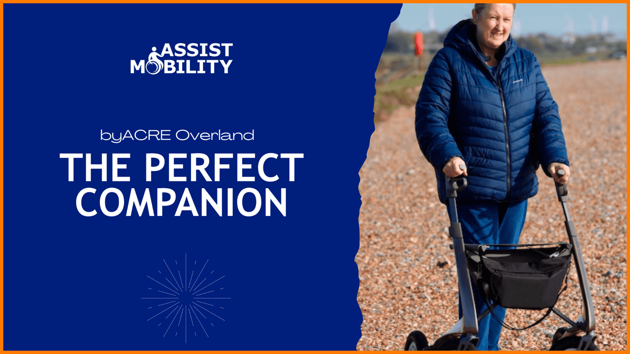 Stephanie's Perfect Companion — Assist Mobility