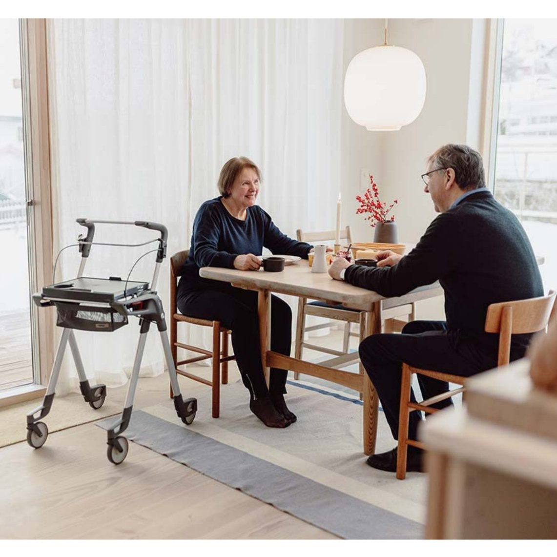 Free UK Delivery on Topro Hestia Rollator — Assist Mobility