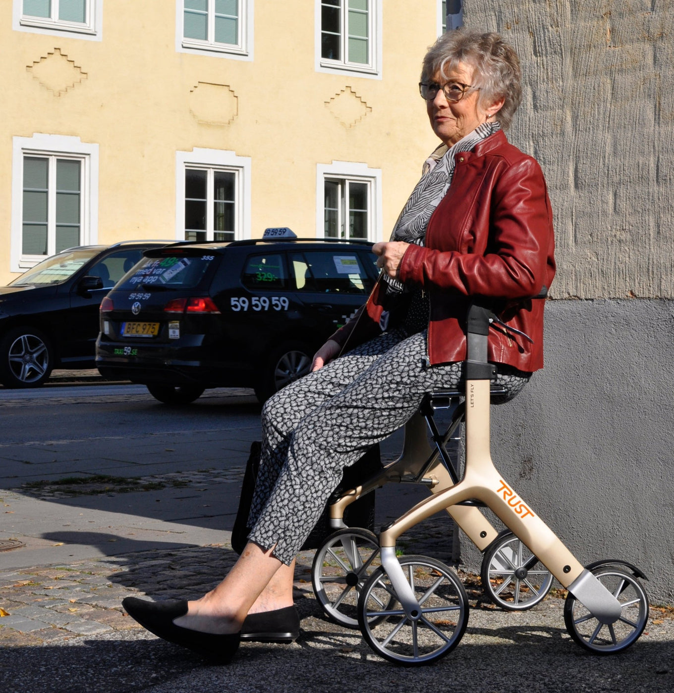 Trust Care Lets Fly Rollator | Assist Mobility